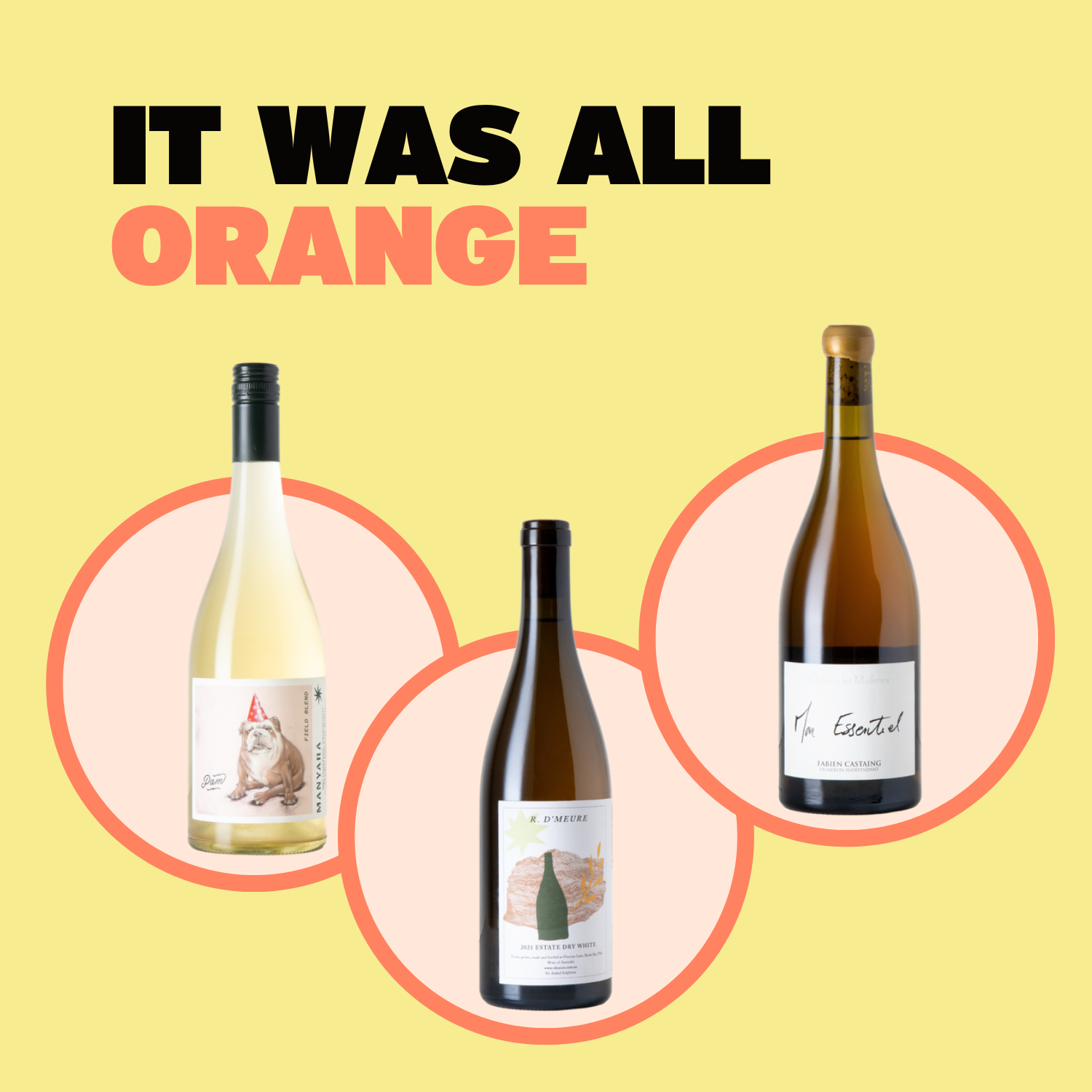 Wine Gift Packs You Won't Find Anywhere Else! | Good Pair Days